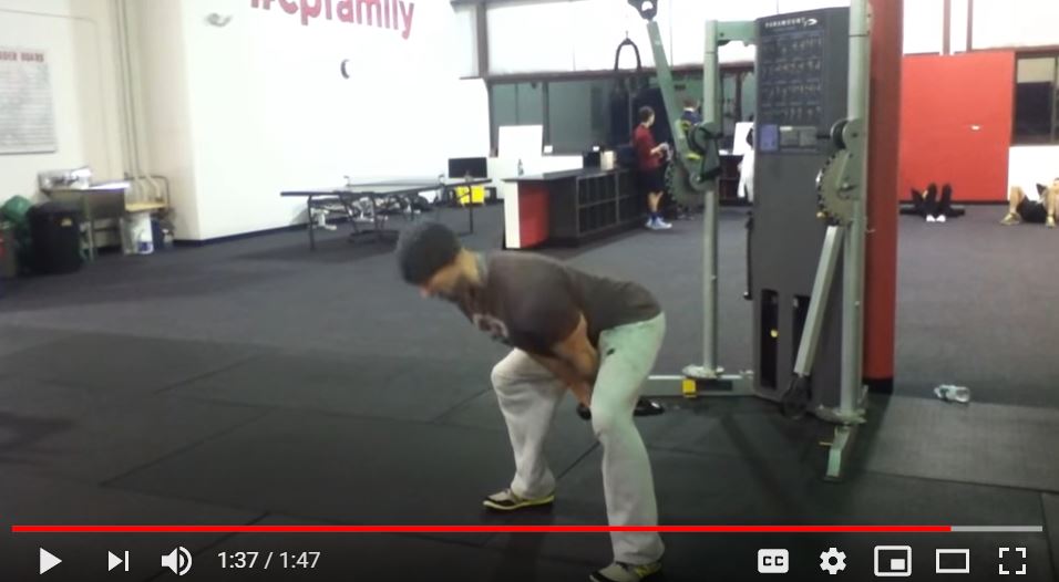 WORKOUT ANYTIME Fitness Blog: The Cable-Pull Through - the Best ...