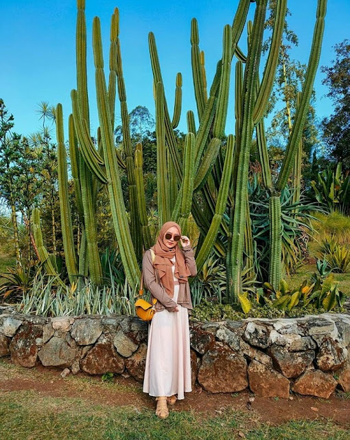 Panorama Kebun Mawar Situhapa Wisata Alam Yang Romantis