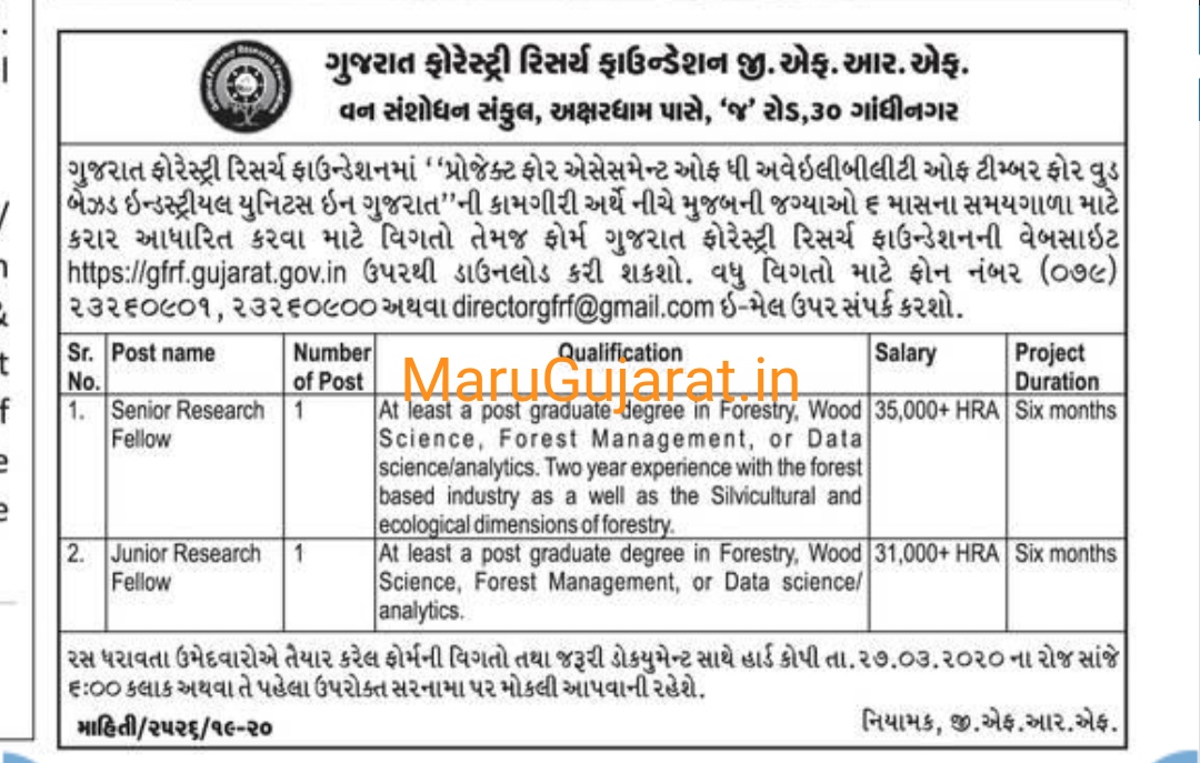 Gujarat Forestry Research Foundation (GFRF) Recruitment for SRF & JRF ...