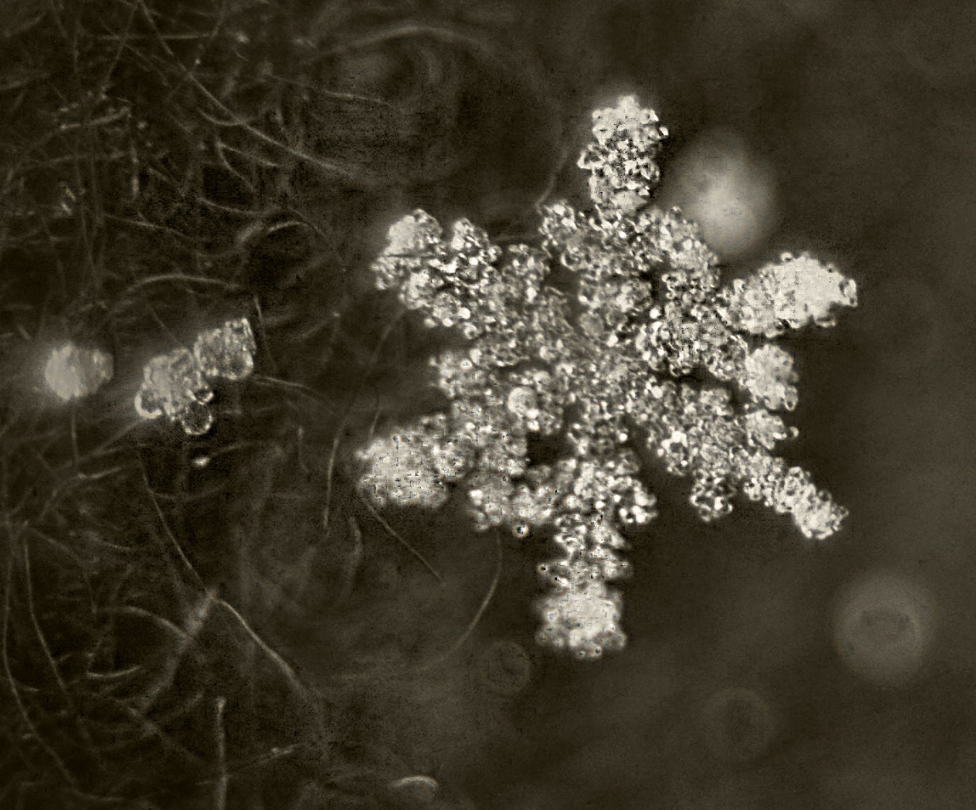 Visual Vent: SNOW FLAKES