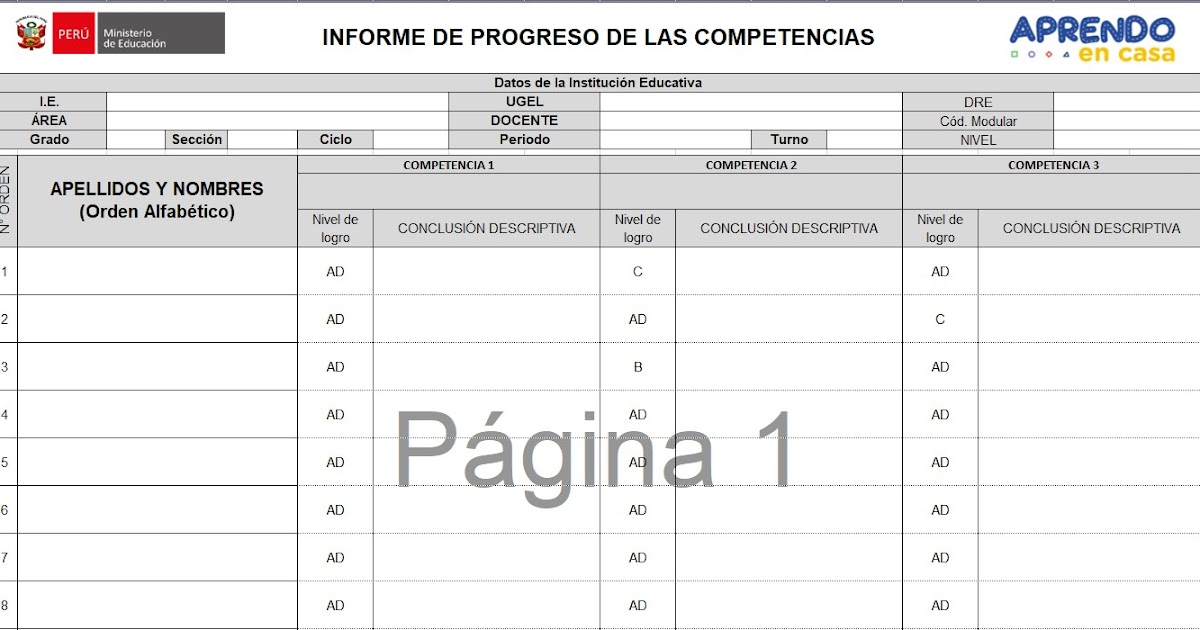 Modelo de registro de progreso de las competencias 2020 [Adecuable todas las áreas] ~ Educar Perú