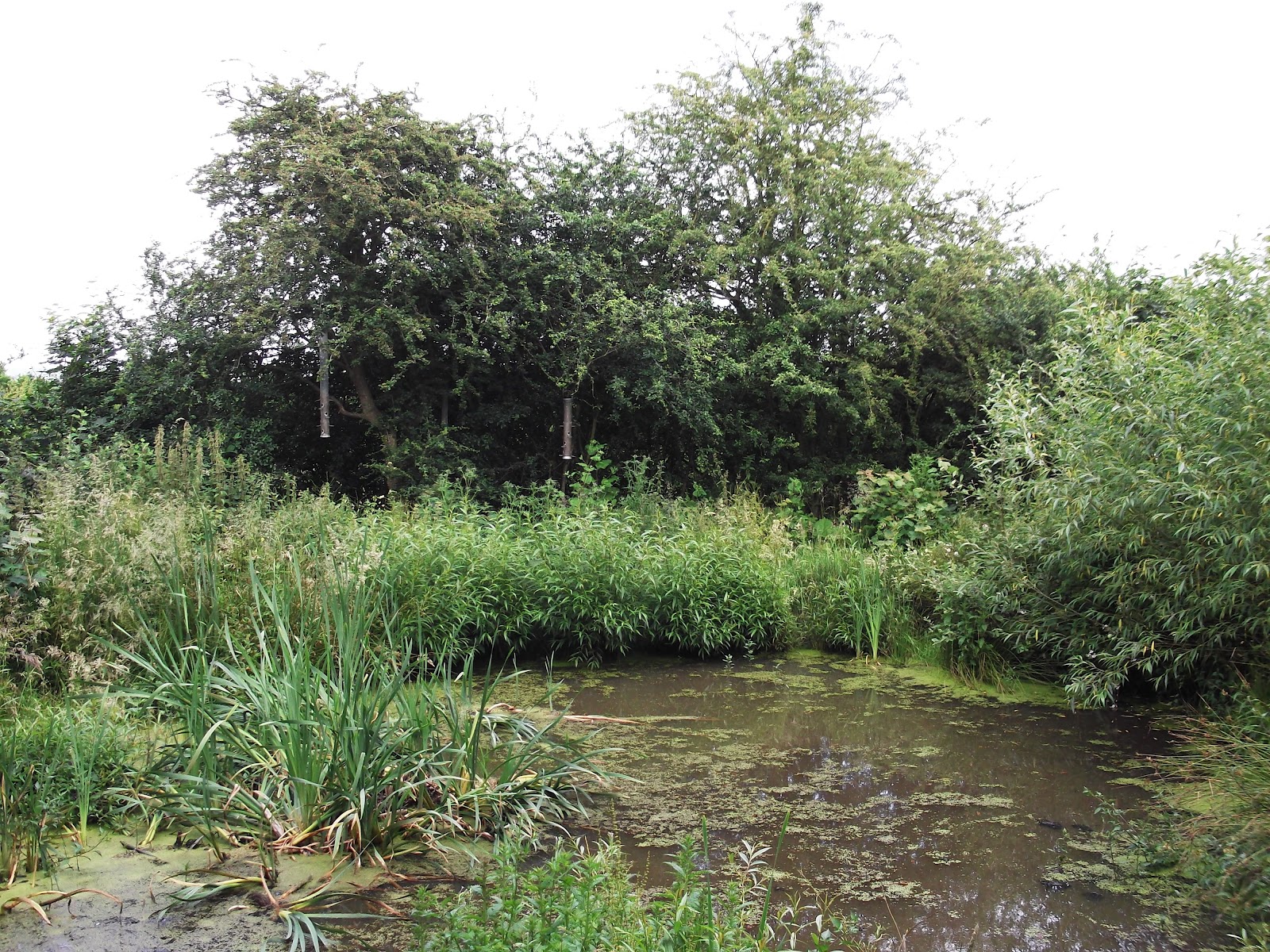 aliwalks : Egleton Nature Reserve