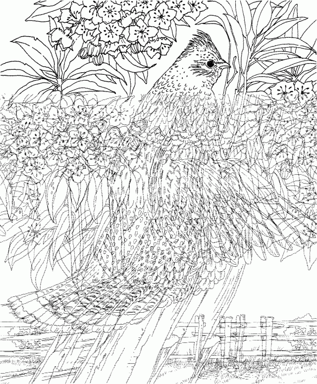 Extremely Hard Coloring Pages - Coloring Pages