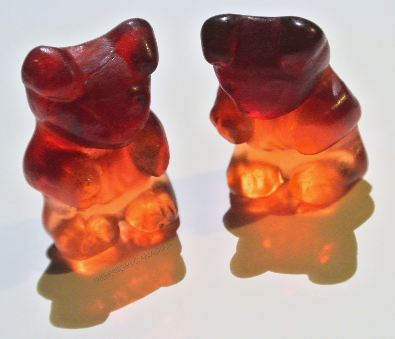 Squish Gummy Bears (Cranberry and Elderflower) | The Hungry Canadian