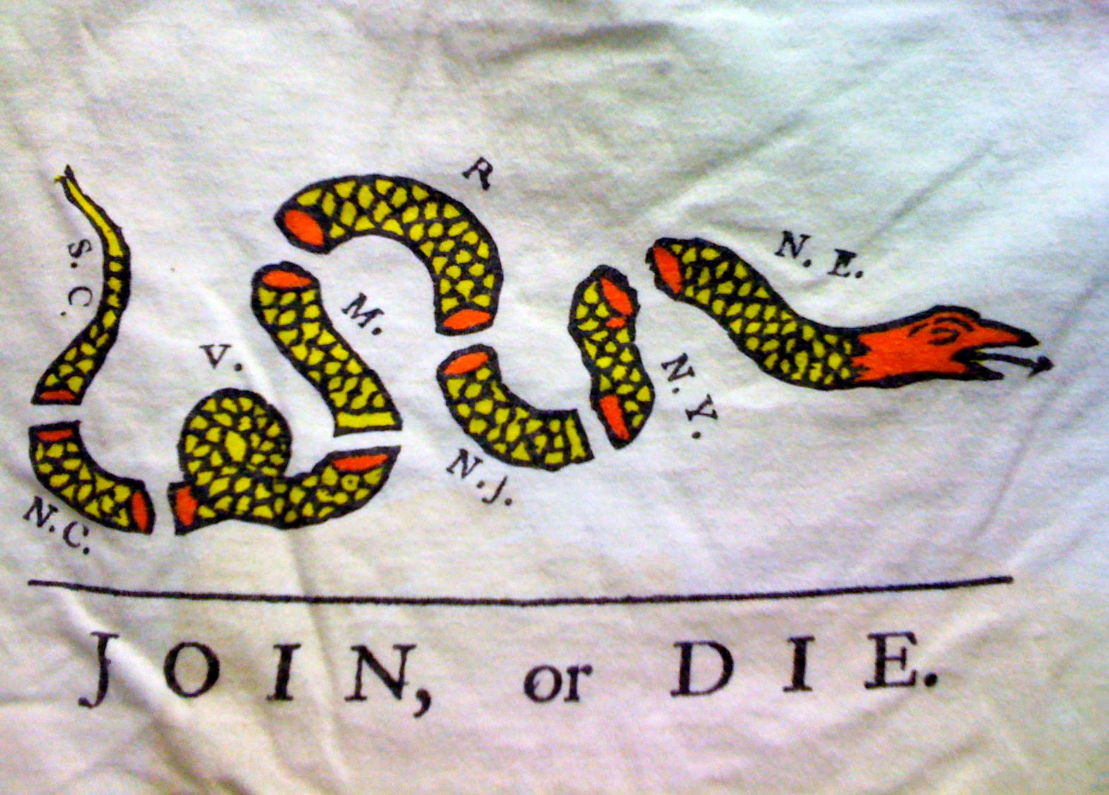 Government & Politics: The Rattlesnake as an American Symbol