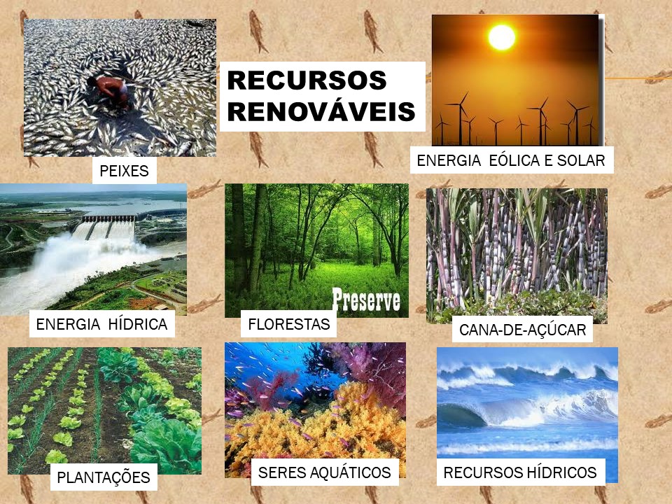 Ciências e Bio - Escola : RECURSOS NATURAIS