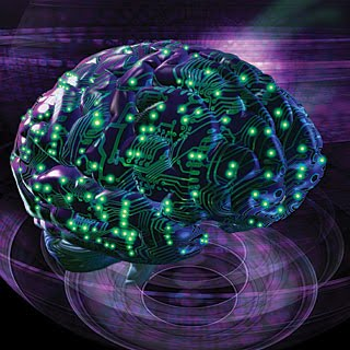 The miswired brain; making connections from neurodevelopment to ...