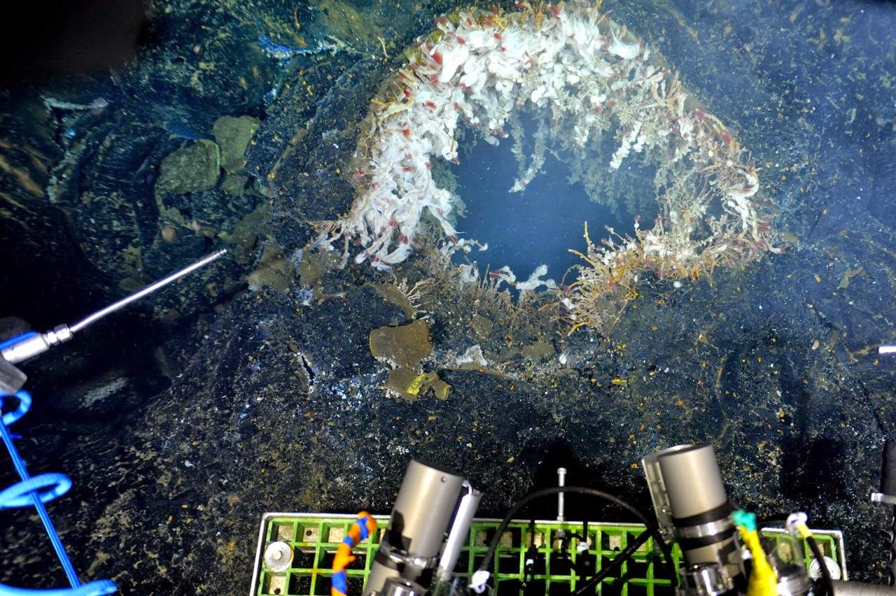 Sciency Thoughts: Eruptive activity on Axial Seamount.