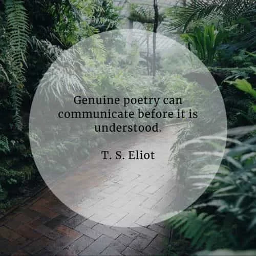 50 Poetry quotes that will inspire your mind and soul