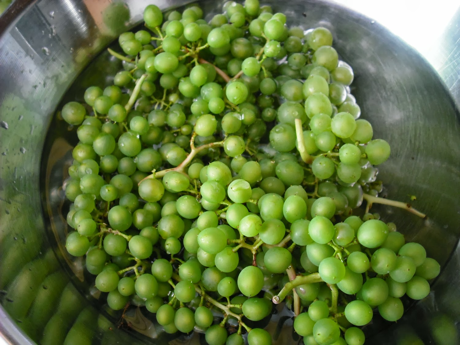 Foodycat: Verjus and grape pie