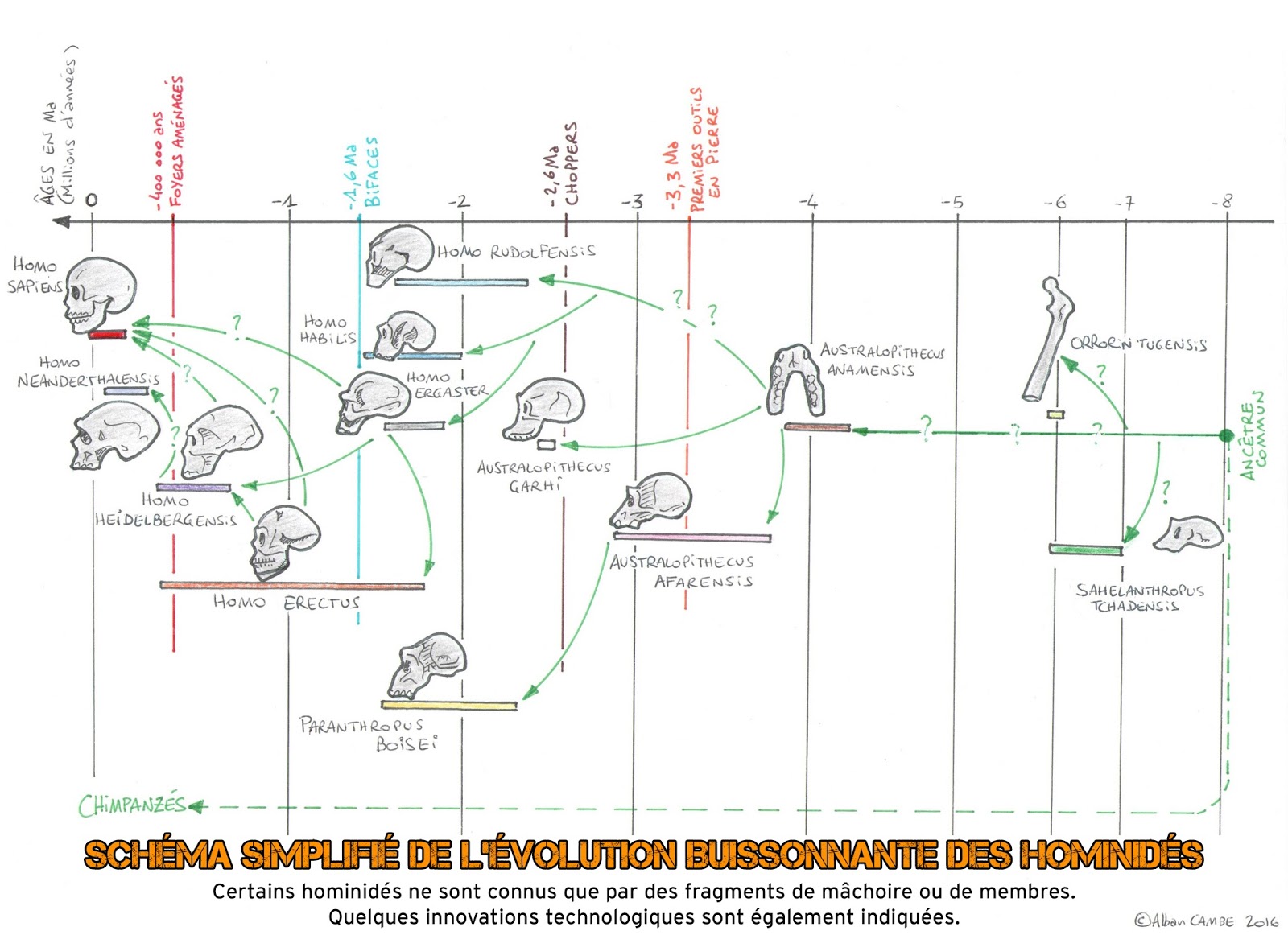 Nos ancêtres les Hominidés - Nature Aventure Survie