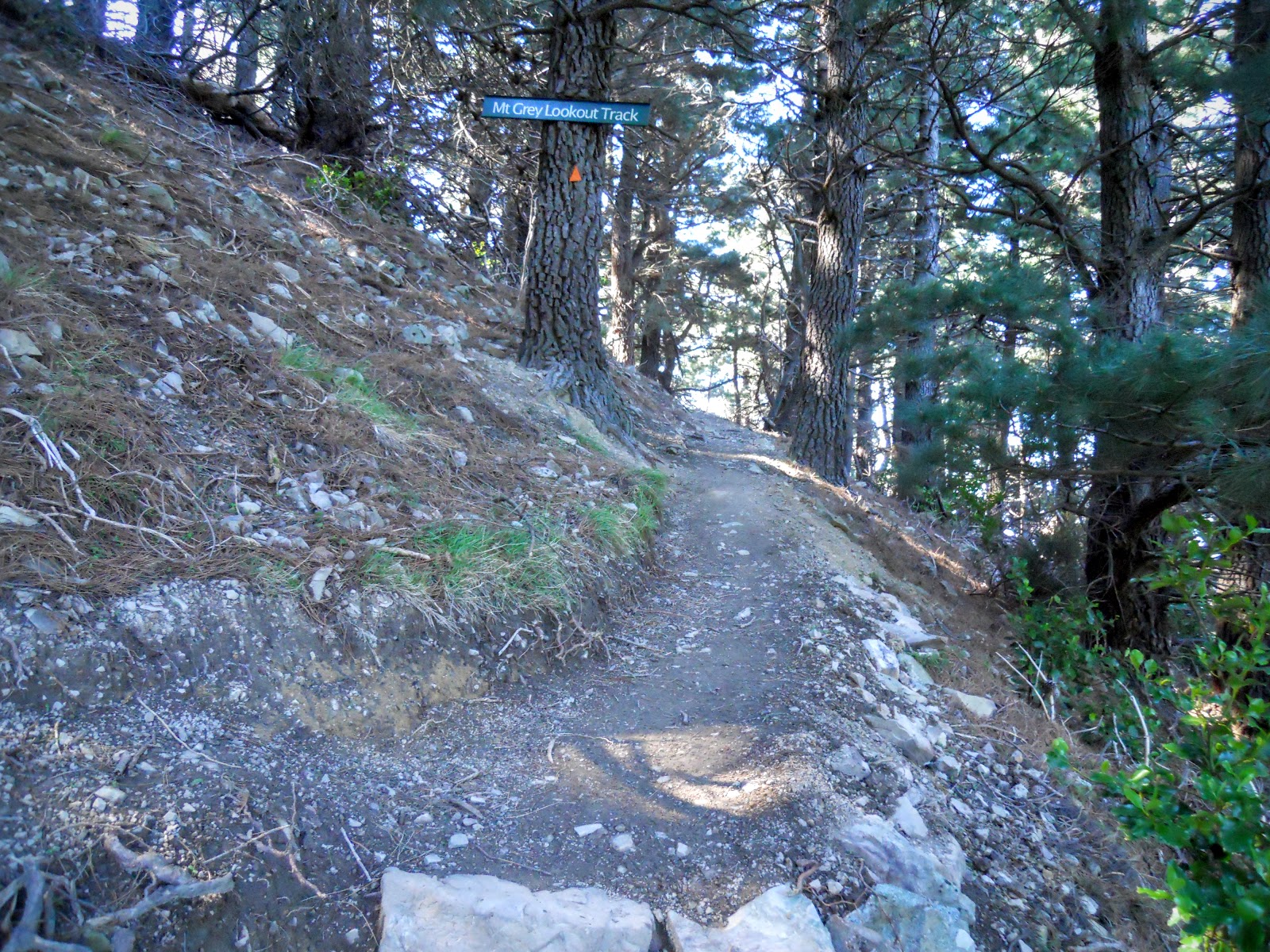 Tramping in the New Zealand backcountry: NZ Bush Adventures: Mt Grey ...