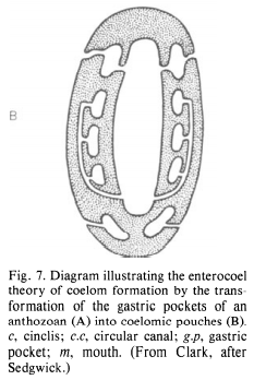 Evolution and Significance of the Coelom