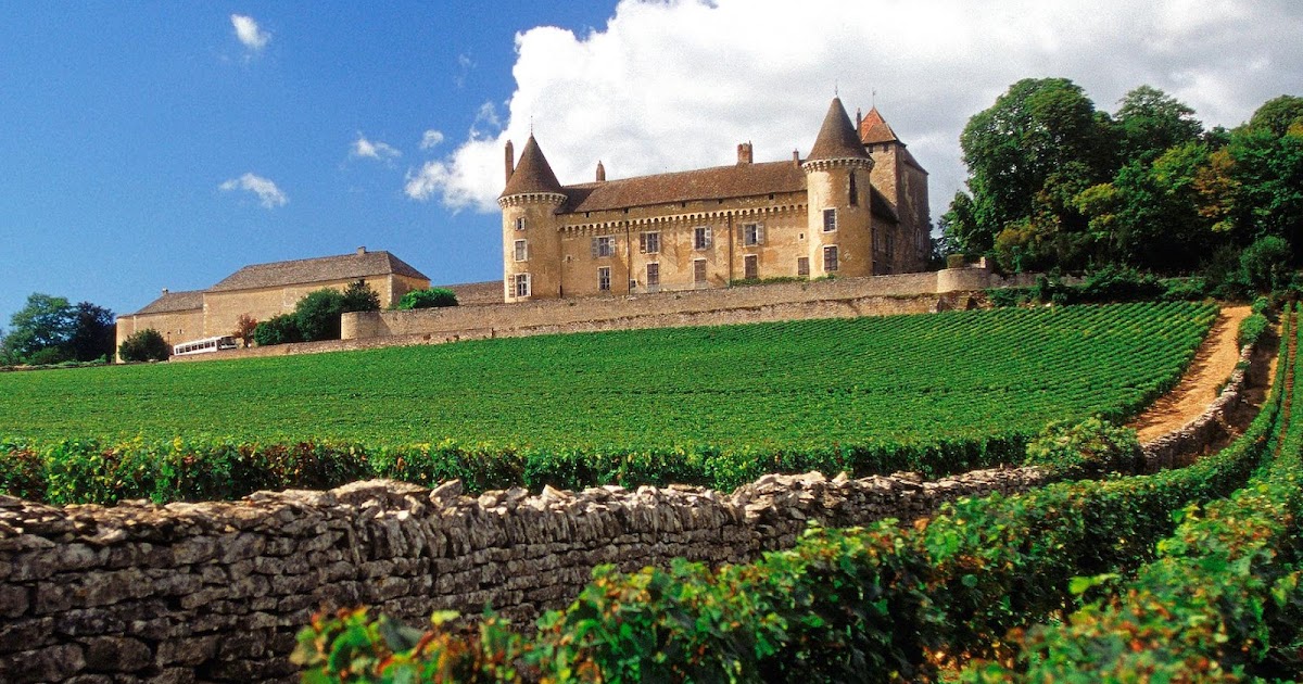 Vinho e Delicias - Sobre vinho: Borgonha em números atuais - 2012