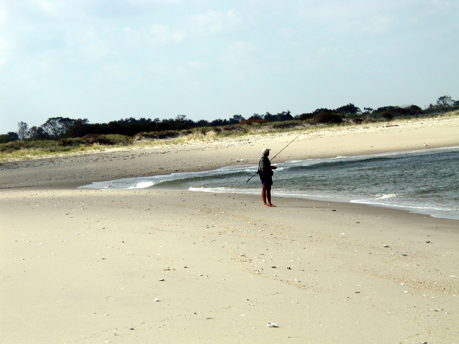 Endangered New Jersey: Gateway NRA Celebrates its 40th Anniversary