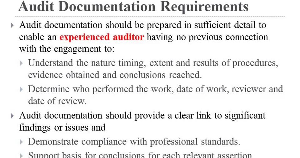CHAPTER 1 : AUDIT DOCUMENTATION