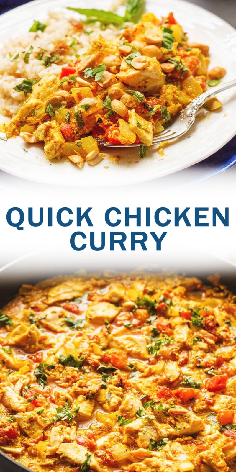 QUICK CHICKEN CURRY