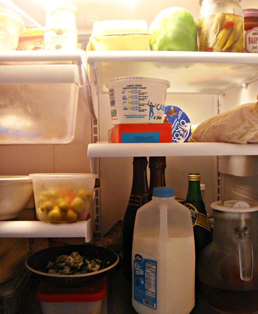 Random Refrigerator Views No. 43