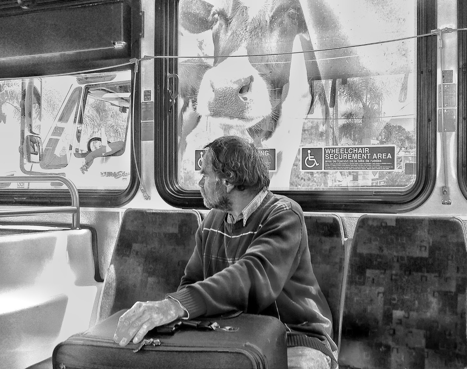 Ted Burke LIKE IT OR NOT: WHAT IS HIP?