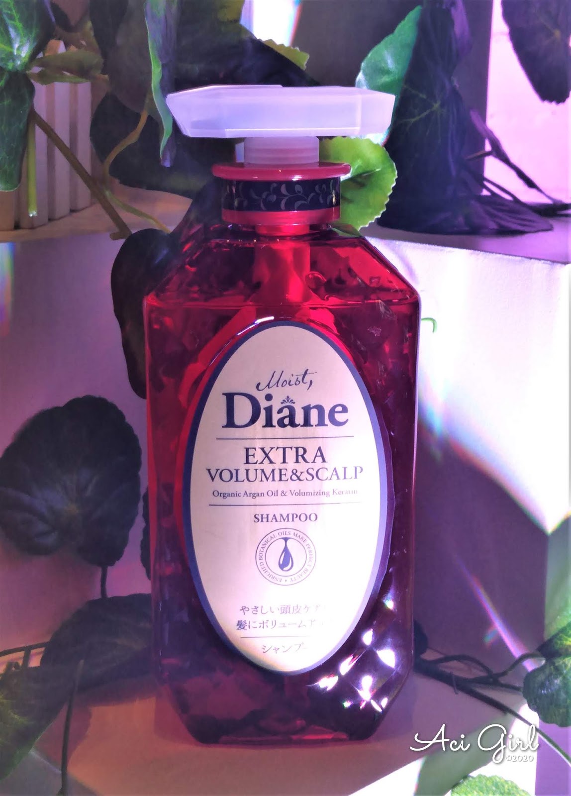 New Product Alert! Moist, Diane Perfect Beauty Shampoo & Treatment and ...