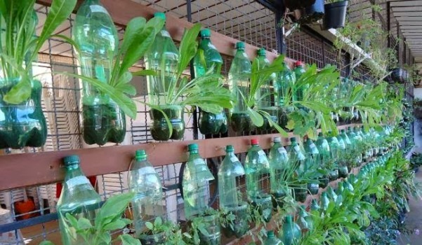 Taman Bunga Dari Botol Bekas - TUKANG TAMAN SURABAYA