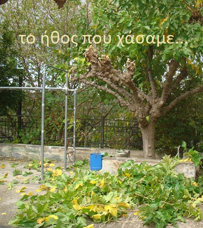 TΟ ΗΘΟΣ ΠΟΥ ΧΑΣΑΜΕ...