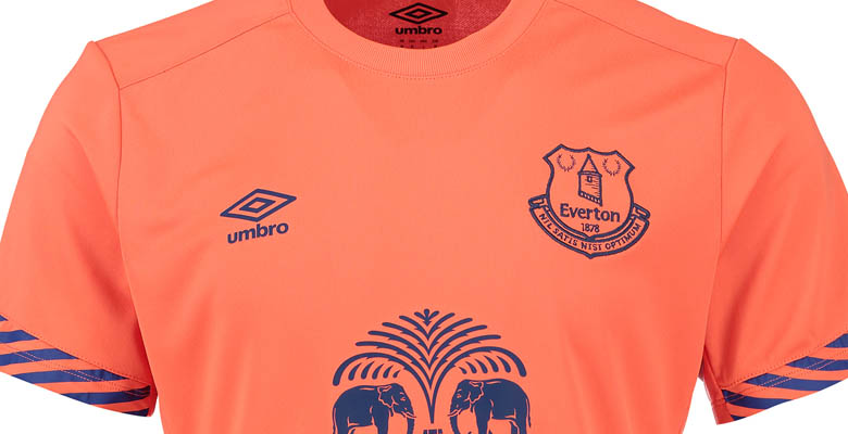 Everton 15-16 Training Shirts Revealed - Footy Headlines