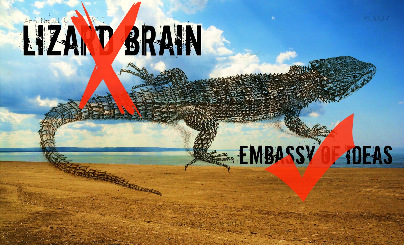 Patti Friday: Lizard Brain