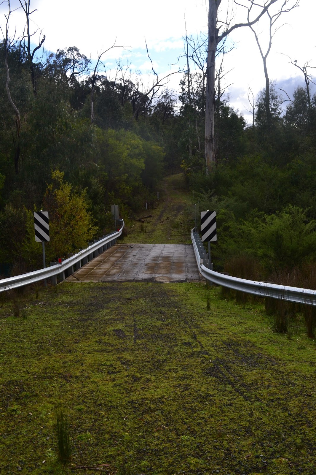 Goin' Feral One Day At A Time: Mt Everard Circuit, Kinglake National ...