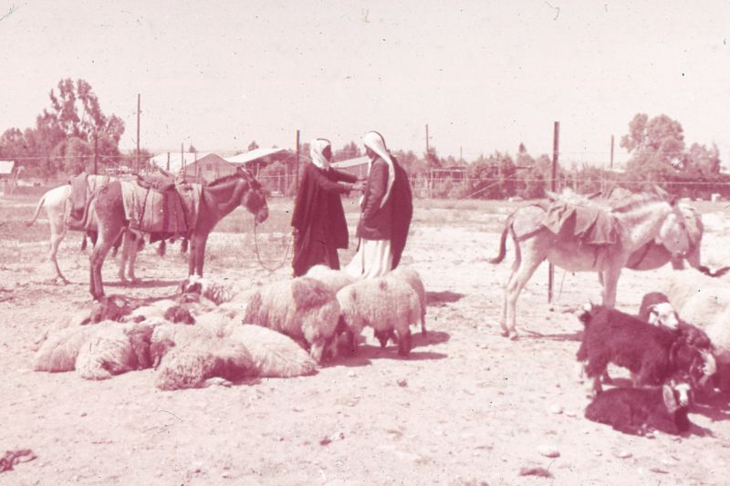 Israel in the 1950s Through Amazing Color Pics ~ Vintage Everyday