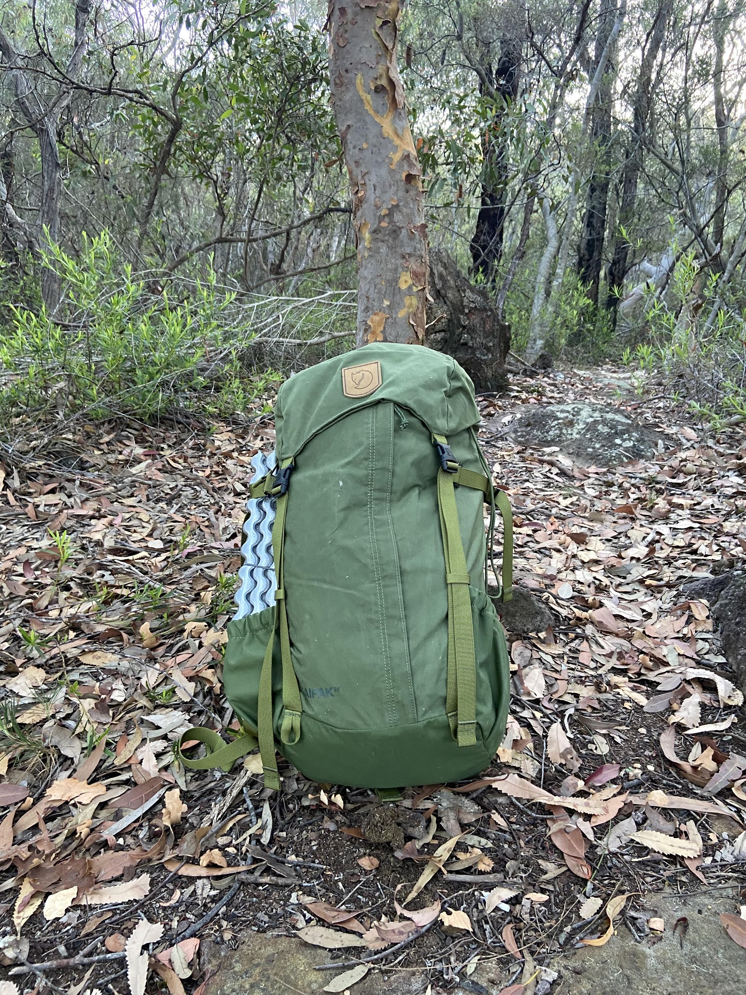 Australian Bushcraft: Sunrise