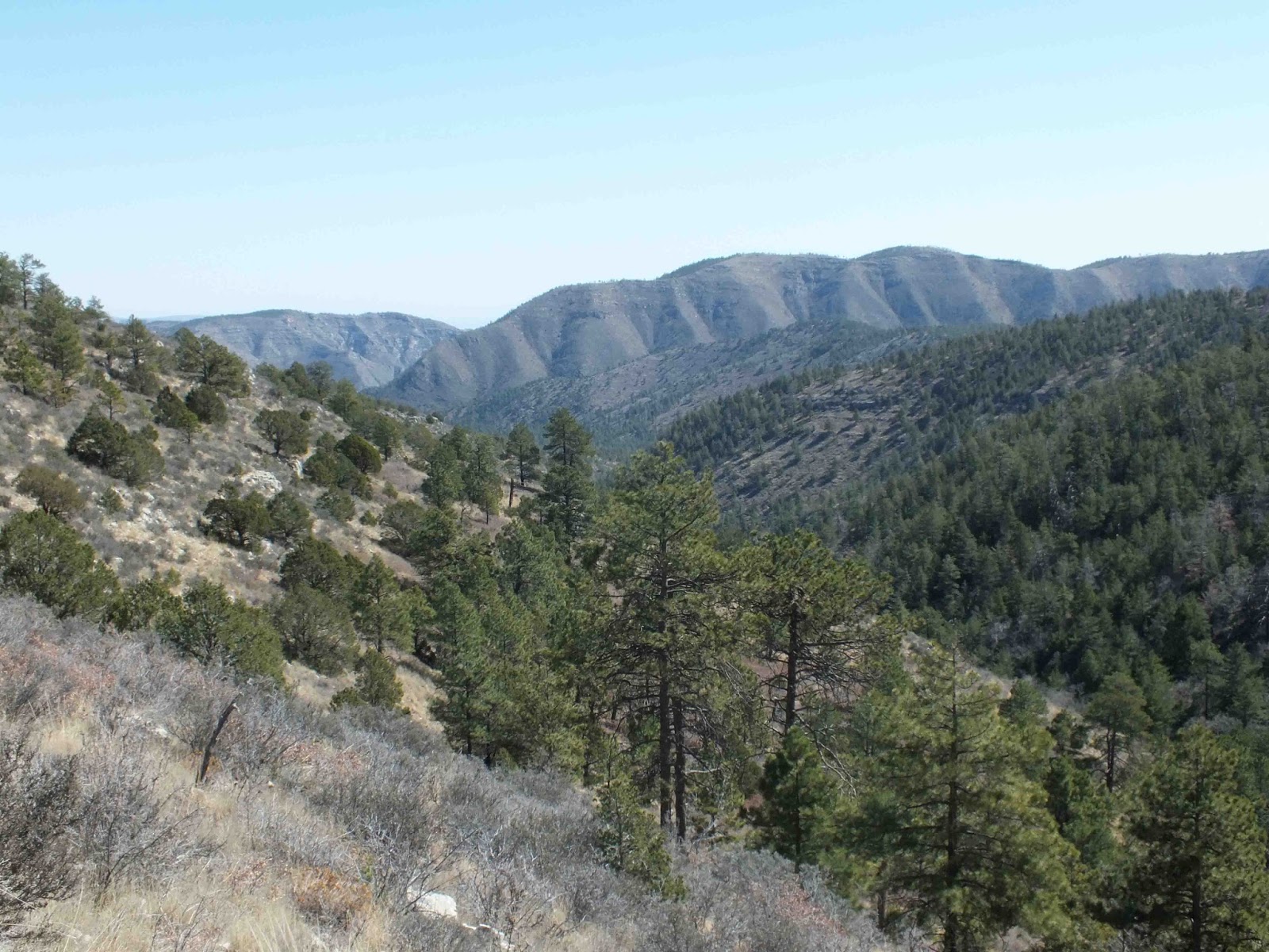 Texas Mountain Trail Daily Photo: Adventures in the Guadalupes - Bush ...