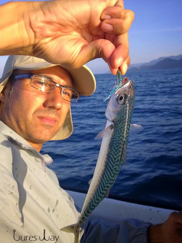 Lures Way: Pendula kup