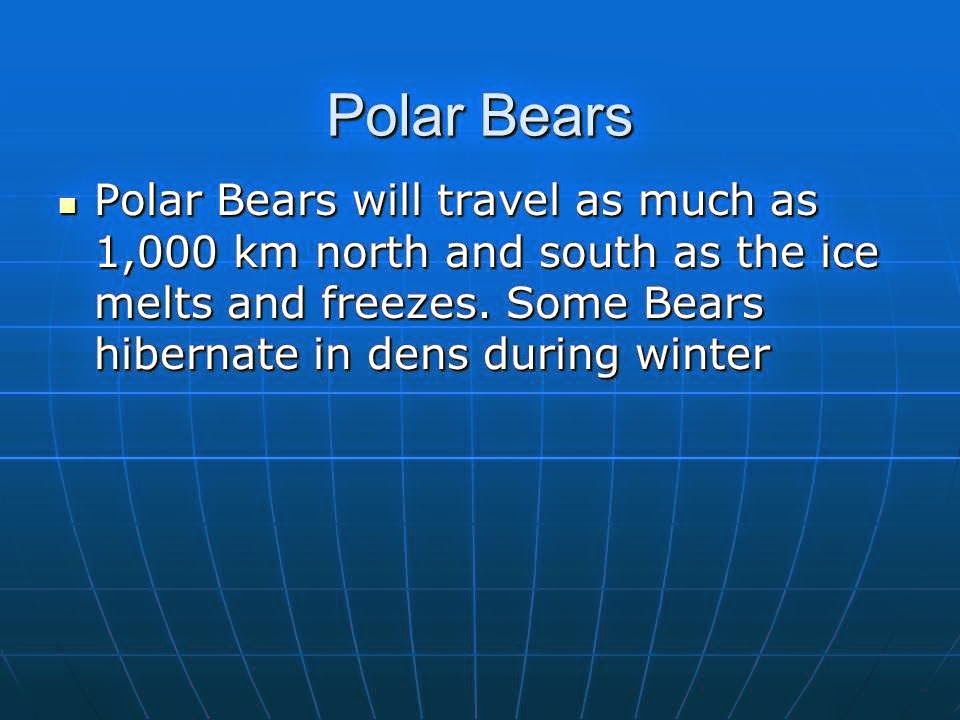 Seabury Pioneers: Bear Reports