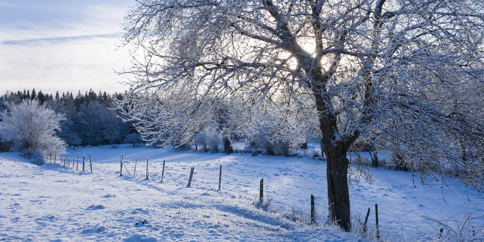 Delicias de la Abuela: ¡Empezó el Invierno!