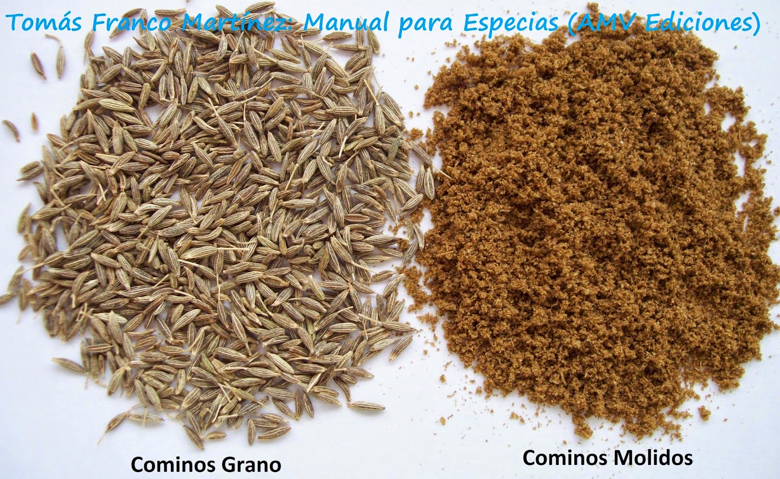 El Mundo de las Especias y el Pimentón: febrero 2016