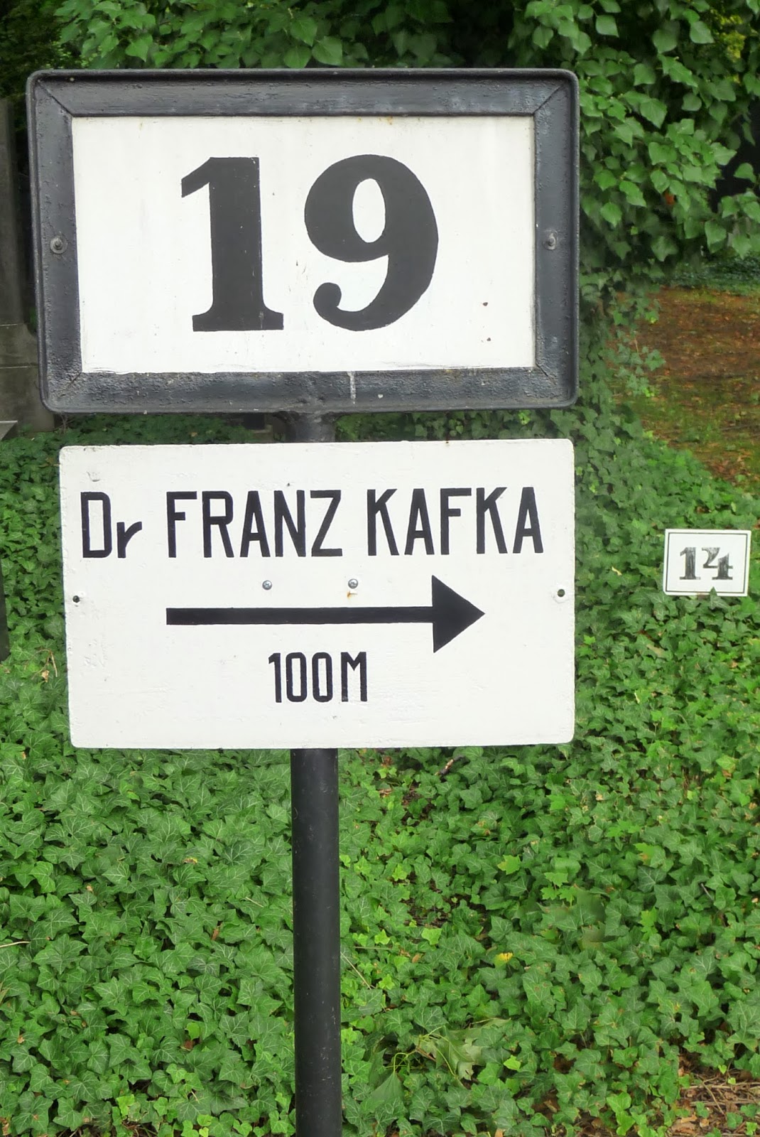 El sueño del Doctor Kafka