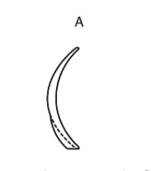 What are prism ballast, truncation, and dynamic stabilization in ...