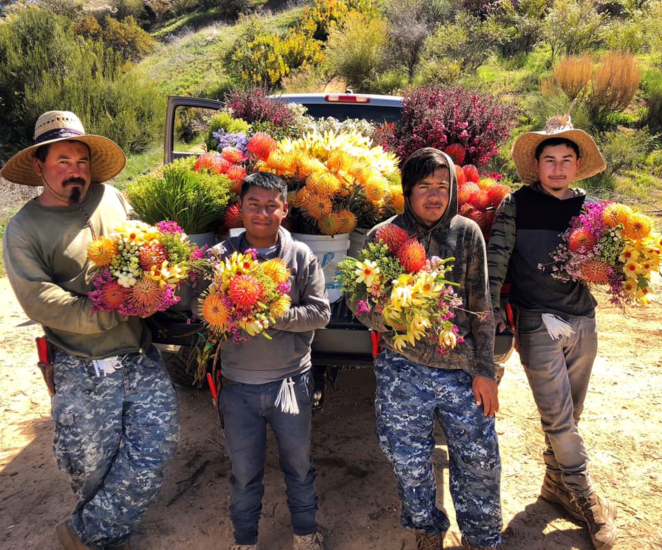 A Passion for Flowers: California Grown Flowers Month