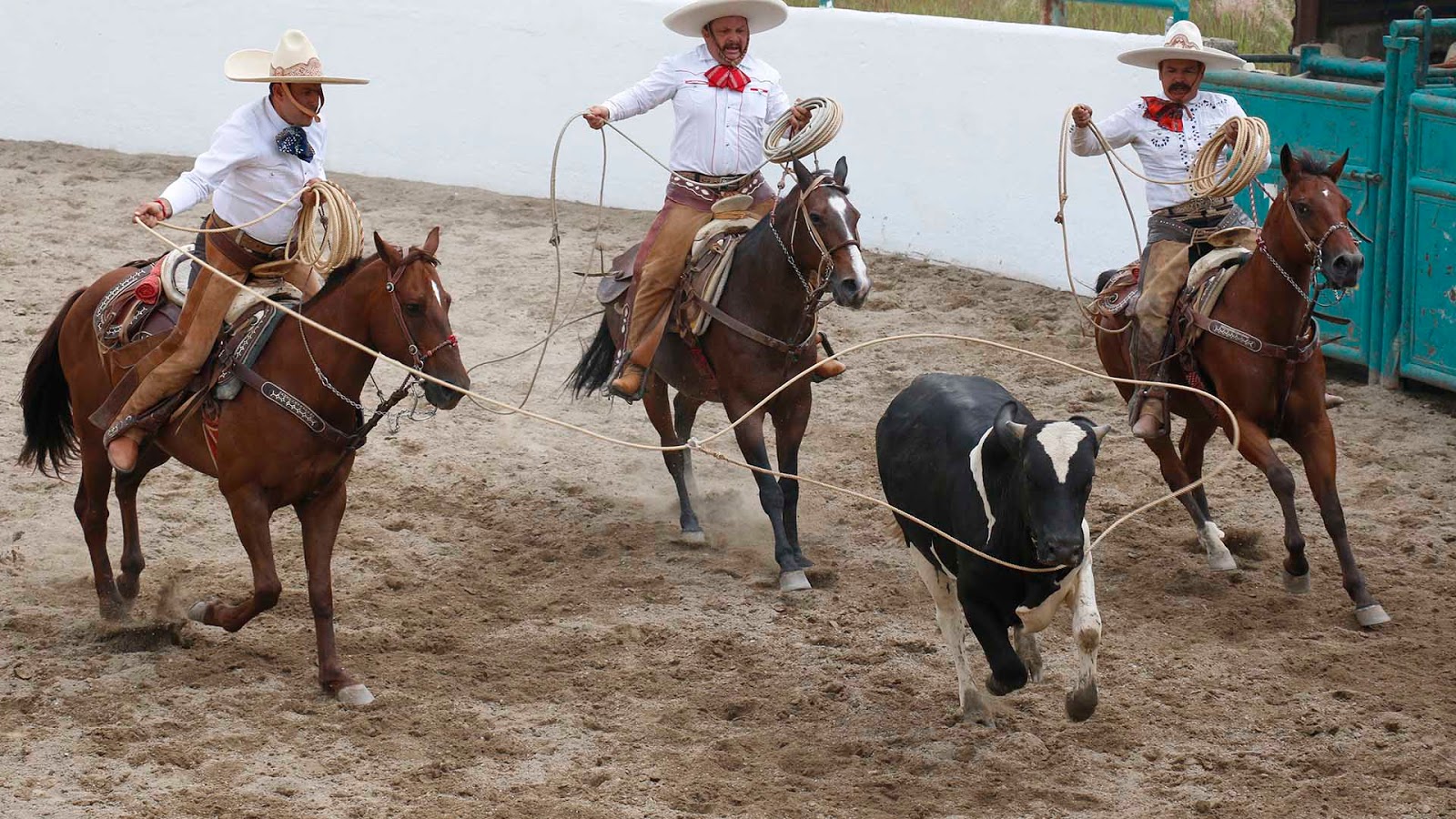 Dziedzictwo UNESCO: Charreada. Meksyk