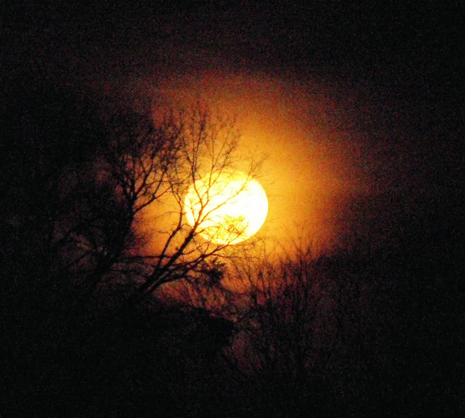 Frank's Rotating Lighted Blog of Considerable Mass: A Night in the ...