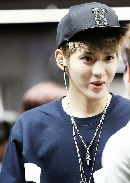 Bubble Bubble Tea: Kris Exo Profile