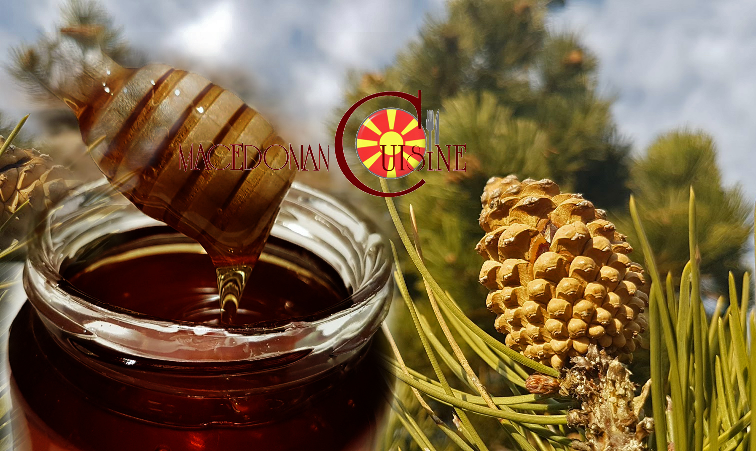 PINE CONE SYRUP - no cough, no sore throat, thyroid gland works great ...
