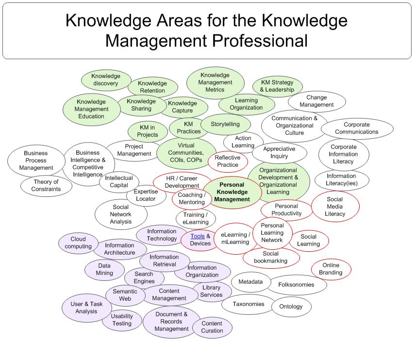Insight Mapping: Knowledge Areas for KM Professionals
