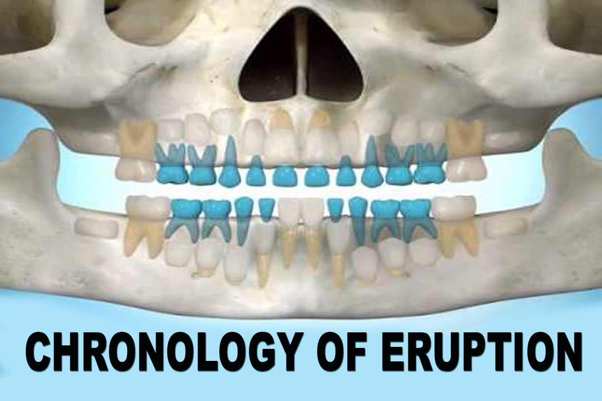 Notes for Dental Technicians: Chronology of Eruption