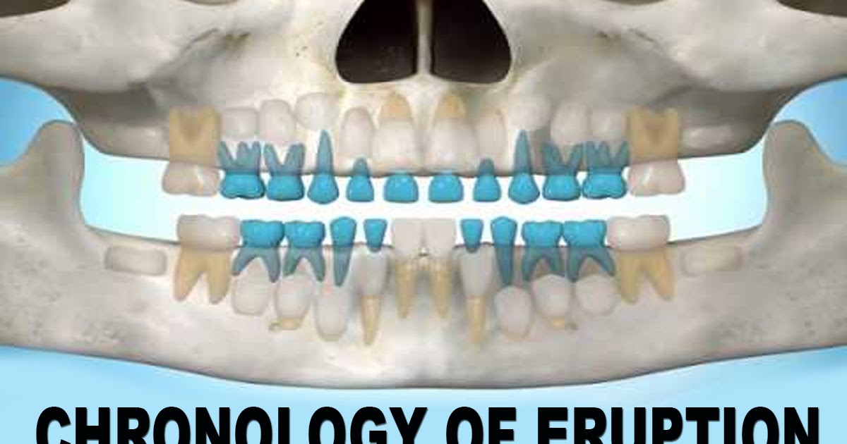 Notes for Dental Technicians: Chronology of Eruption