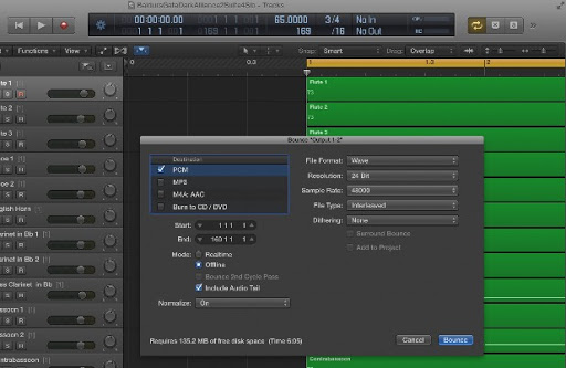 Music in Motion, by Craig Stuart Garfinkle