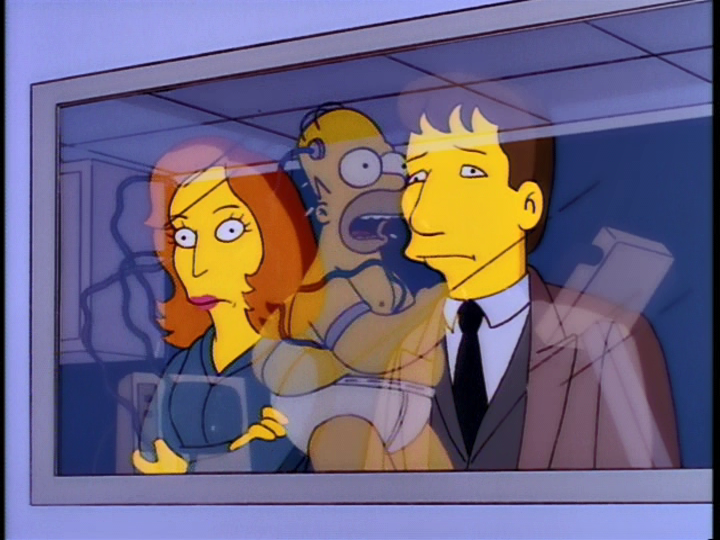 I Want to Review: Case 04, File 10.5: The Springfield Files