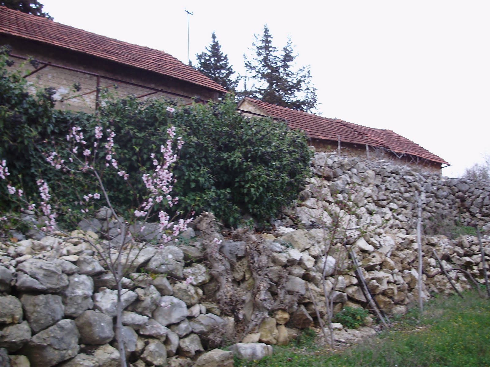 FOSILI - HERCEGOVINA: TURIZAM; Hercegovački suhozid (duvar) i kamene kuće