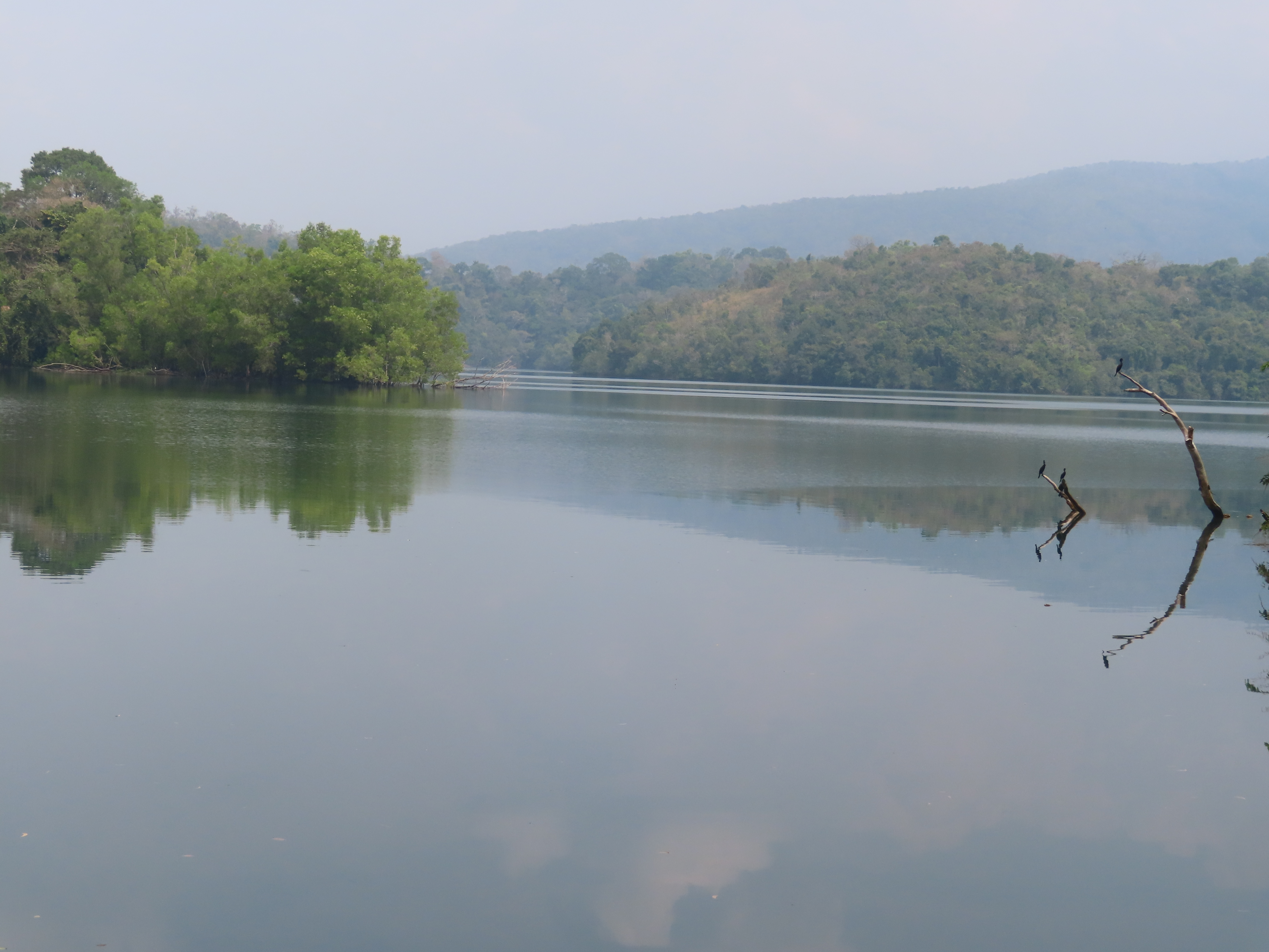SASTHRA CHANGATHI ശാസ്ത്ര ചങ്ങാതി : നെയ്യാ‍ര്‍ വന്യജീവി സങ്കേതം